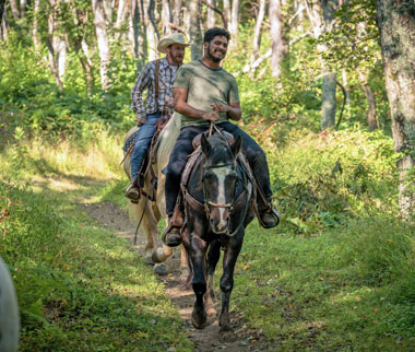 Skyline Drive | Things To Do | Shenandoah National Park